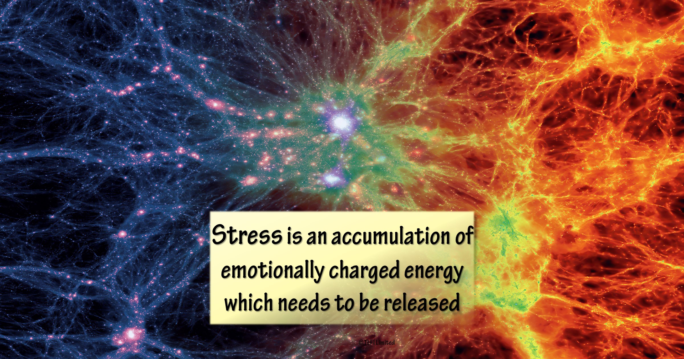 The Life Force Institute | Stress is an Energy Overload