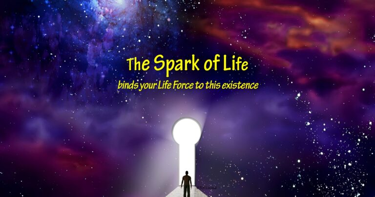 The Life Force Institute | I am the Spark of Life