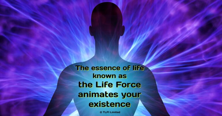 The Life Force Institute | The Vital Essence of Life