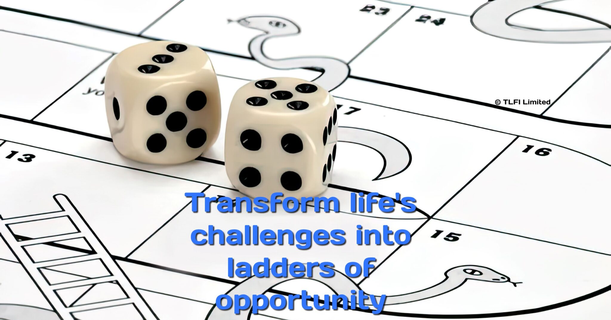 The Life Force Institute | A Game of Snakes and Ladders