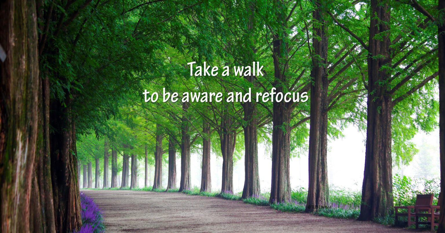 The Life Force Institute | Be Aware as you Walk